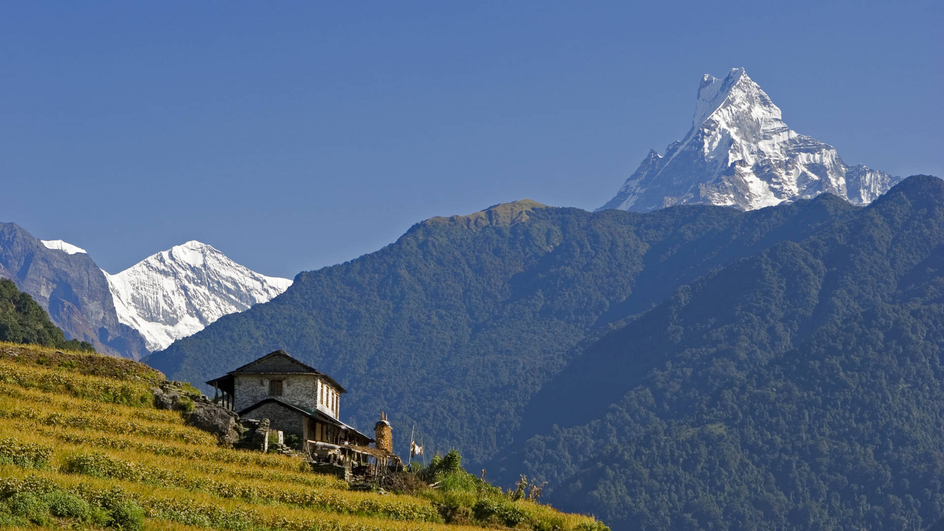 Nepal Reisen: Auf Entdeckungstour im Himalaya | a&e erlebnisreisen